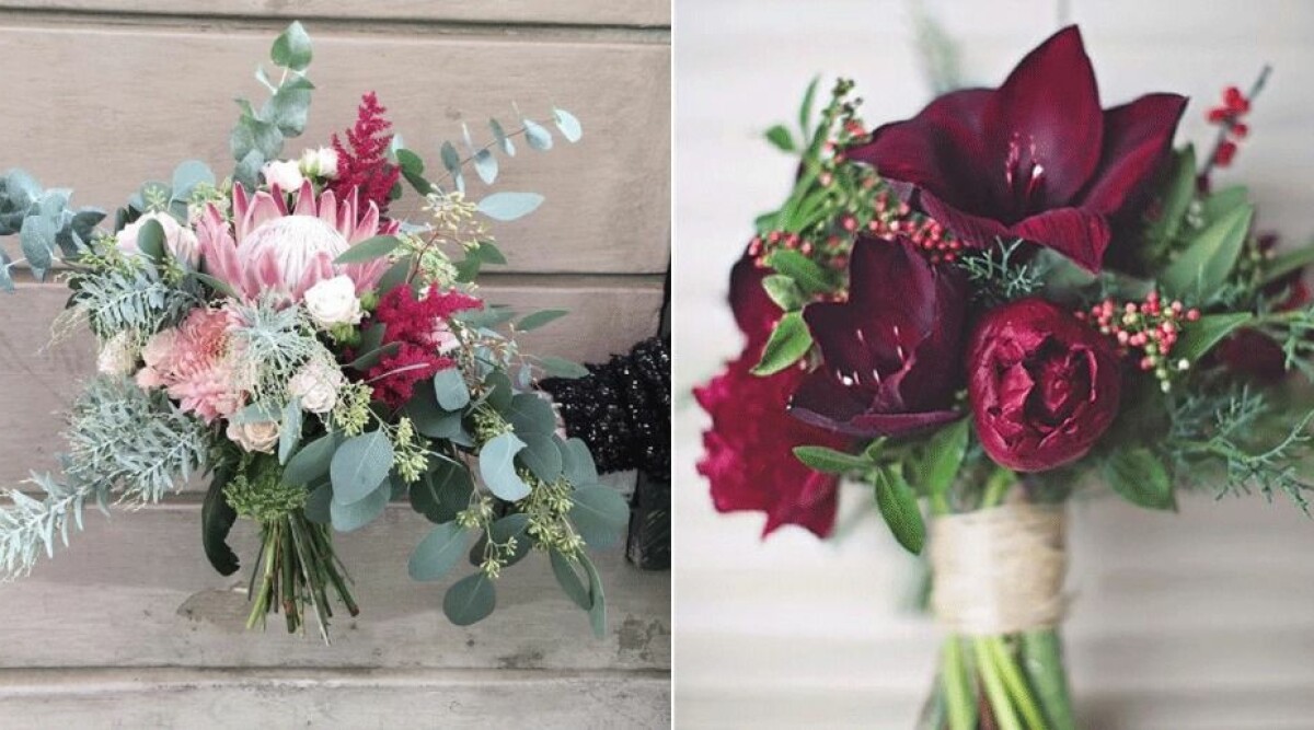 Julens 5 trendigaste blommor | MåBra