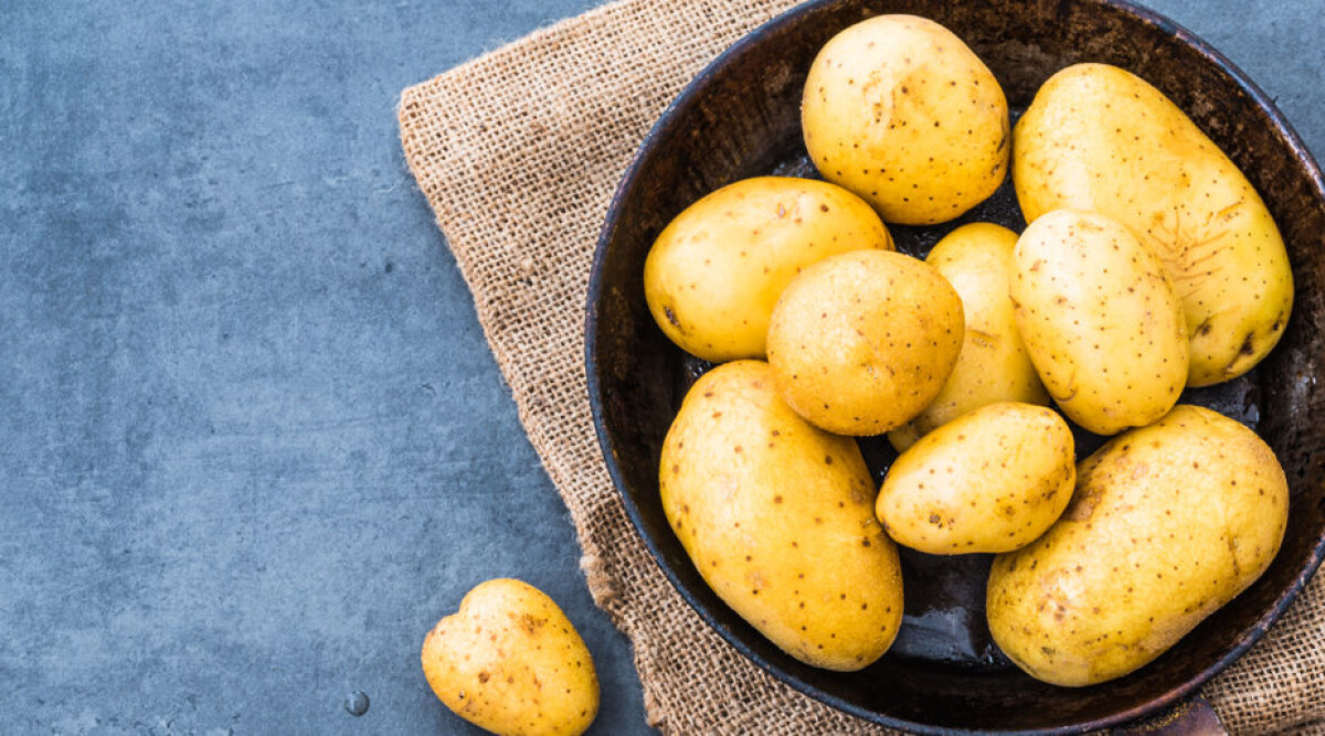 Forskare kan ha skapat en nyttigare potatis! | MåBra