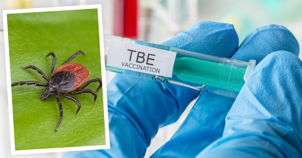 TBE - behöver jag vaccinera mig mot fästingssjukan? | MåBra