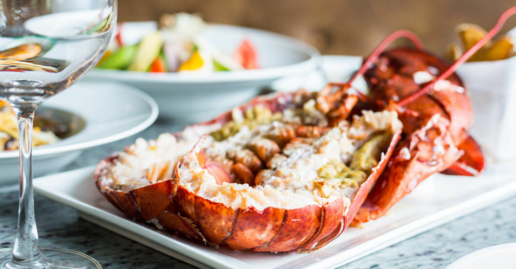 Nyårsmiddag med hummer – 6 tips från Sturehof | MåBra